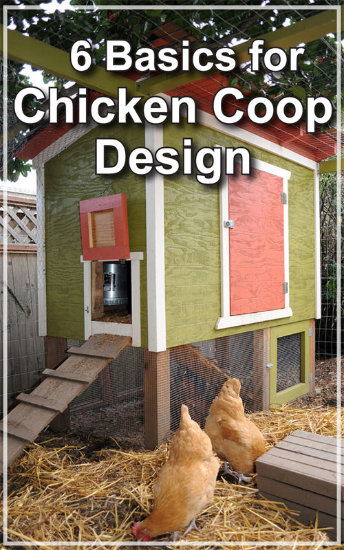 6 Basics for Chicken Coop Design - Backyard Poultry